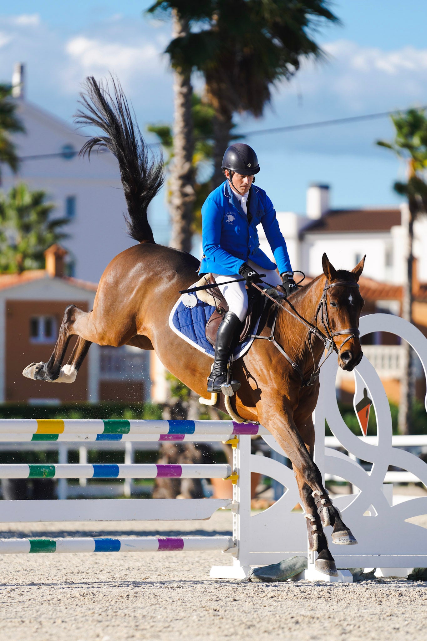 Saddle Fitting — Polished Saddles